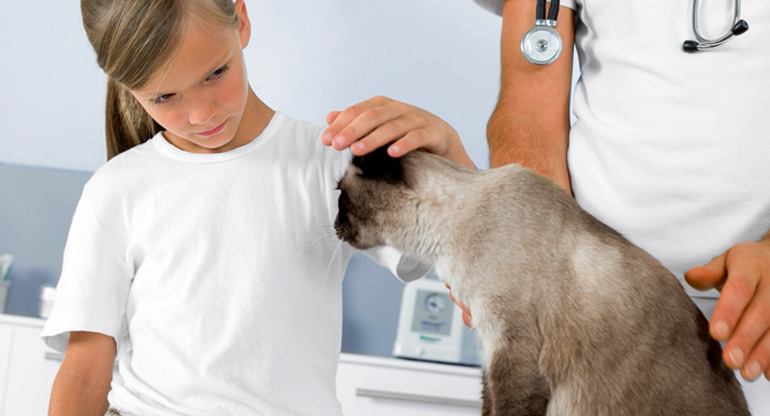 Veterinary - Liver Laundry Equipment